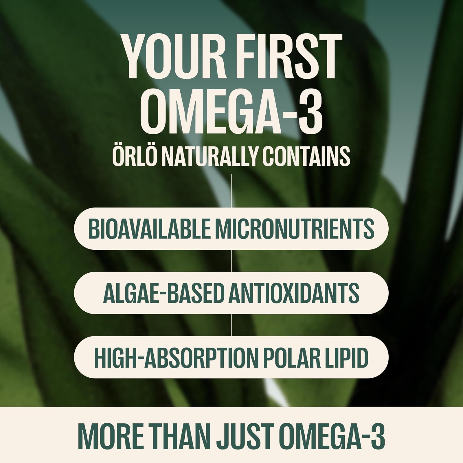 Vegan-friendly algae omega softgels
