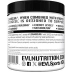 vegan friendly amino acids supplement