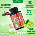 vegan-friendly amla vitamin C source