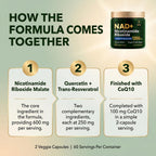 Vegan-friendly antioxidant capsules
