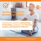 vegan-friendly Artemisinin supplement capsules