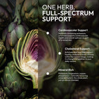 vegan friendly artichoke extract