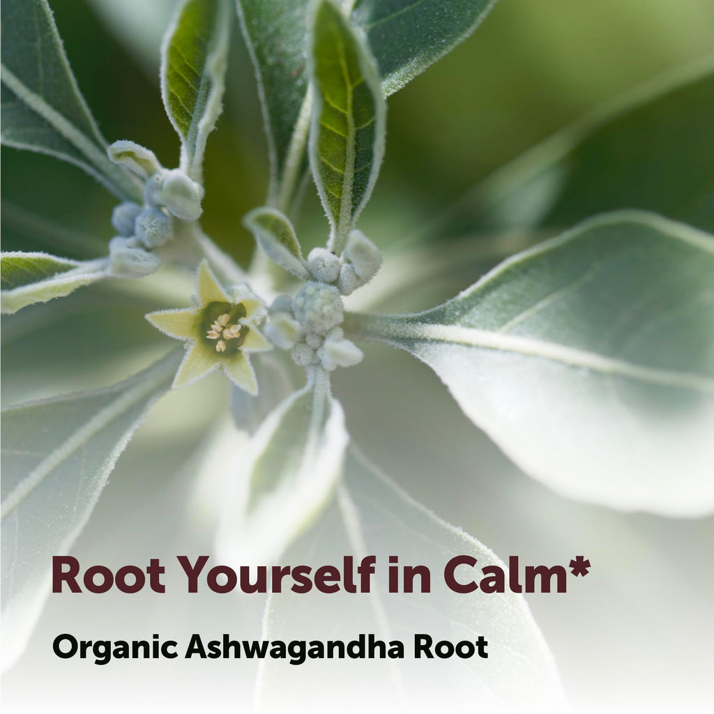 vegan friendly ashwagandha supplement