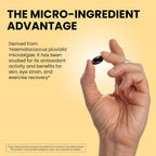 Vegan-friendly astaxanthin supplement