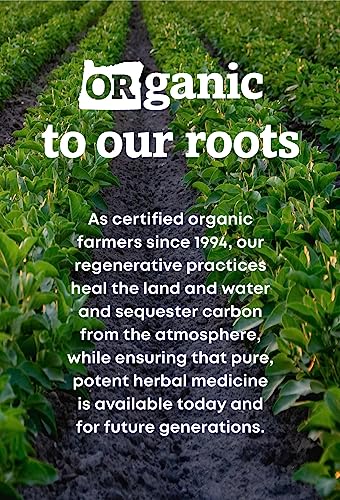 vegan friendly astragalus dietary supplement