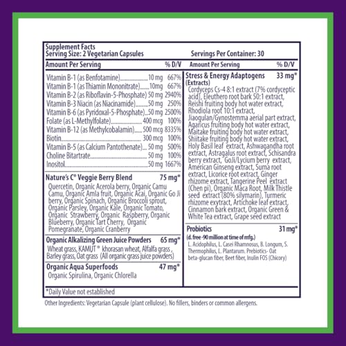 vegan-friendly b-complex supplement