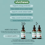 Vegan-friendly B12 for daily wellness