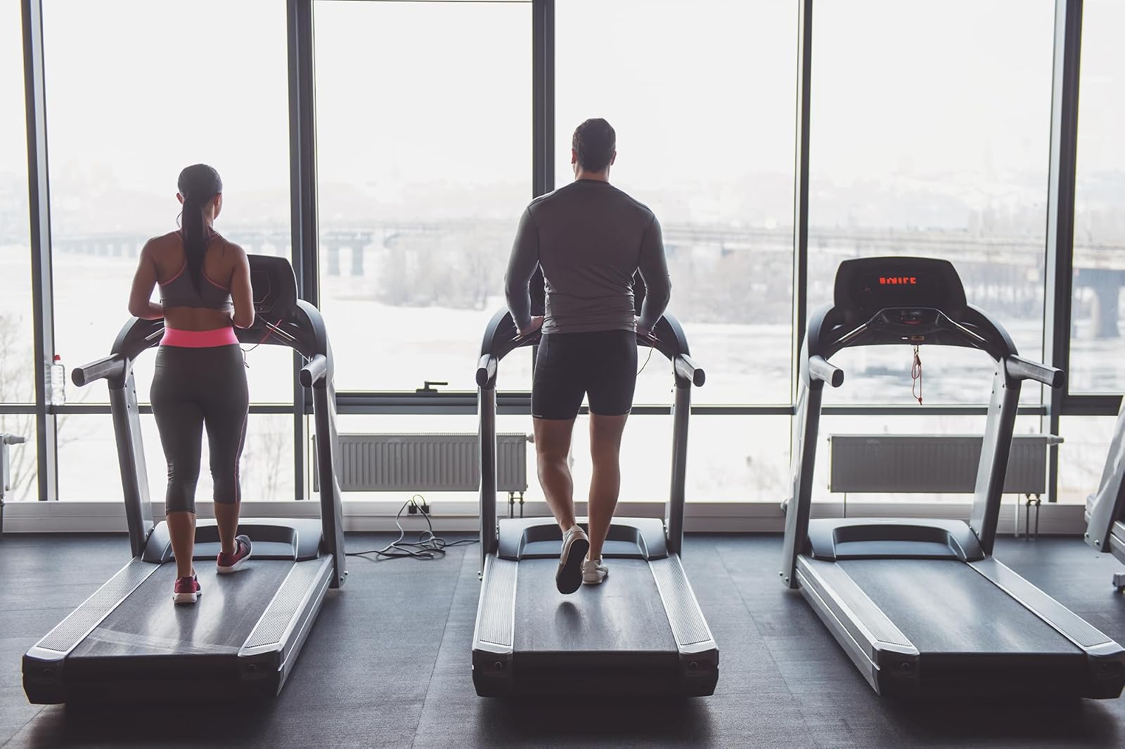 vegan-friendly bcaa supplement