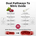 Vegan-friendly beet root pre-workout formula