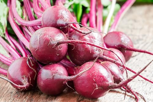 vegan-friendly beet root supplement