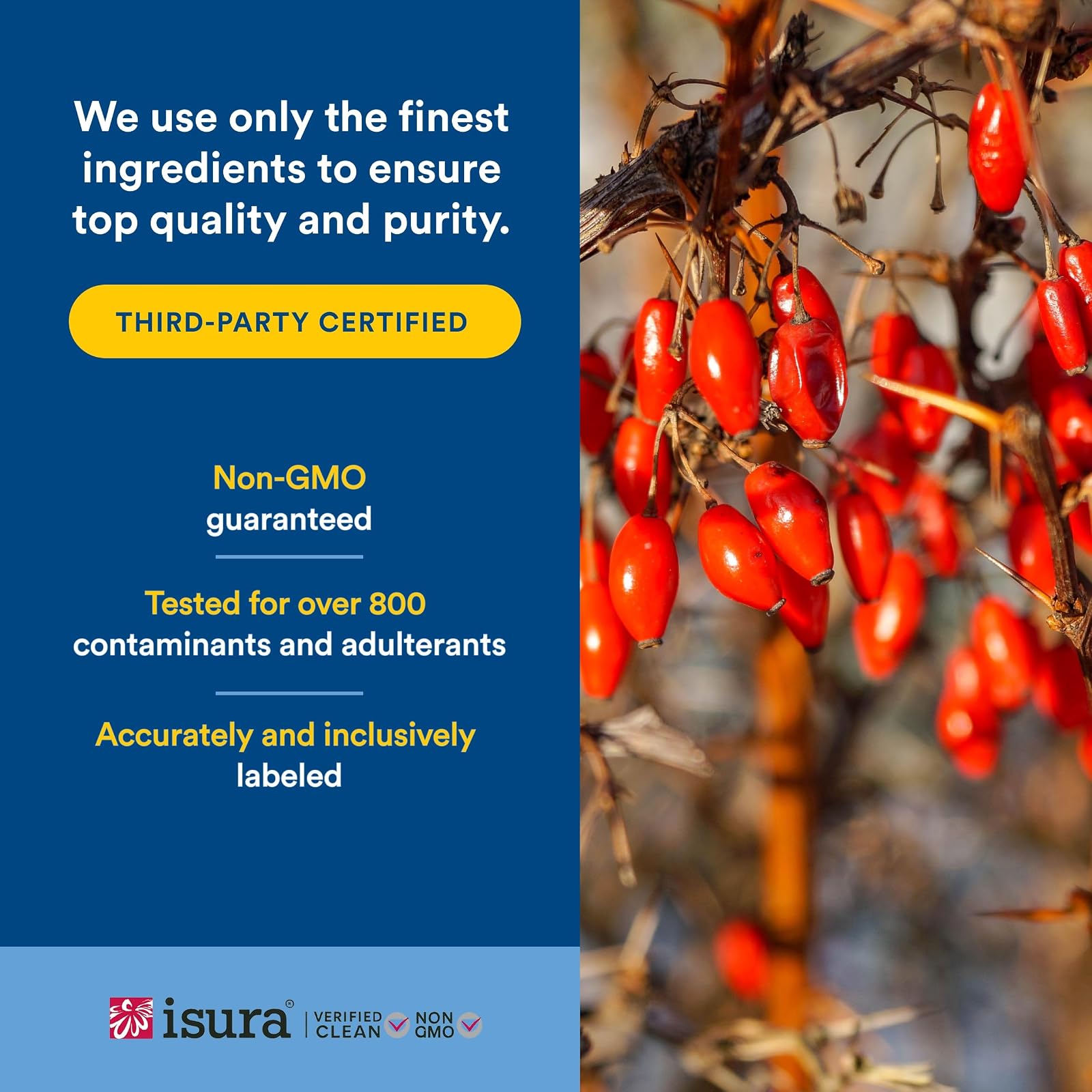 vegan-friendly berberine for daily wellness