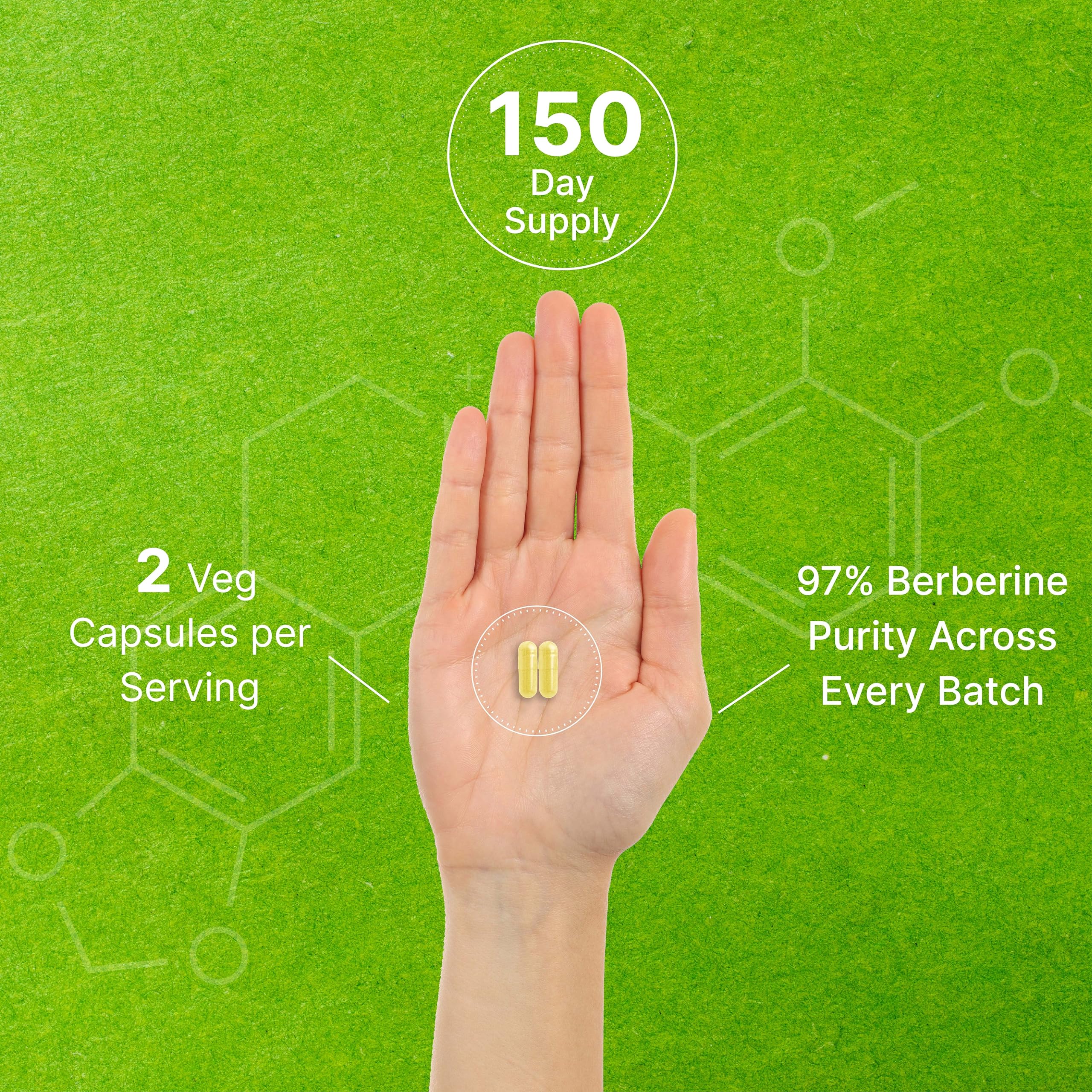 vegan-friendly berberine supplement option