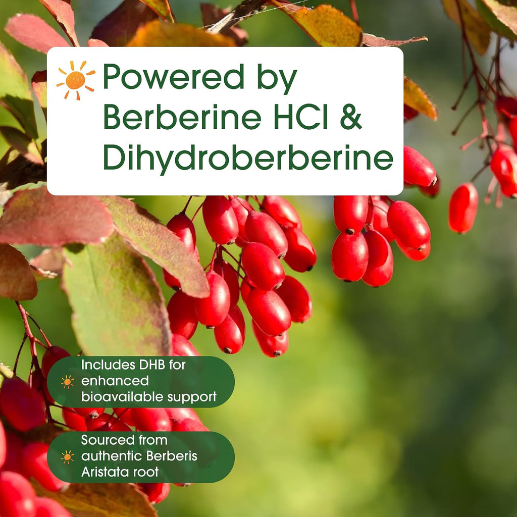 vegan-friendly berberine supplement
