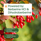vegan-friendly berberine supplement