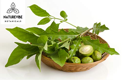 Vegan-friendly Bibhitaki powder supplement