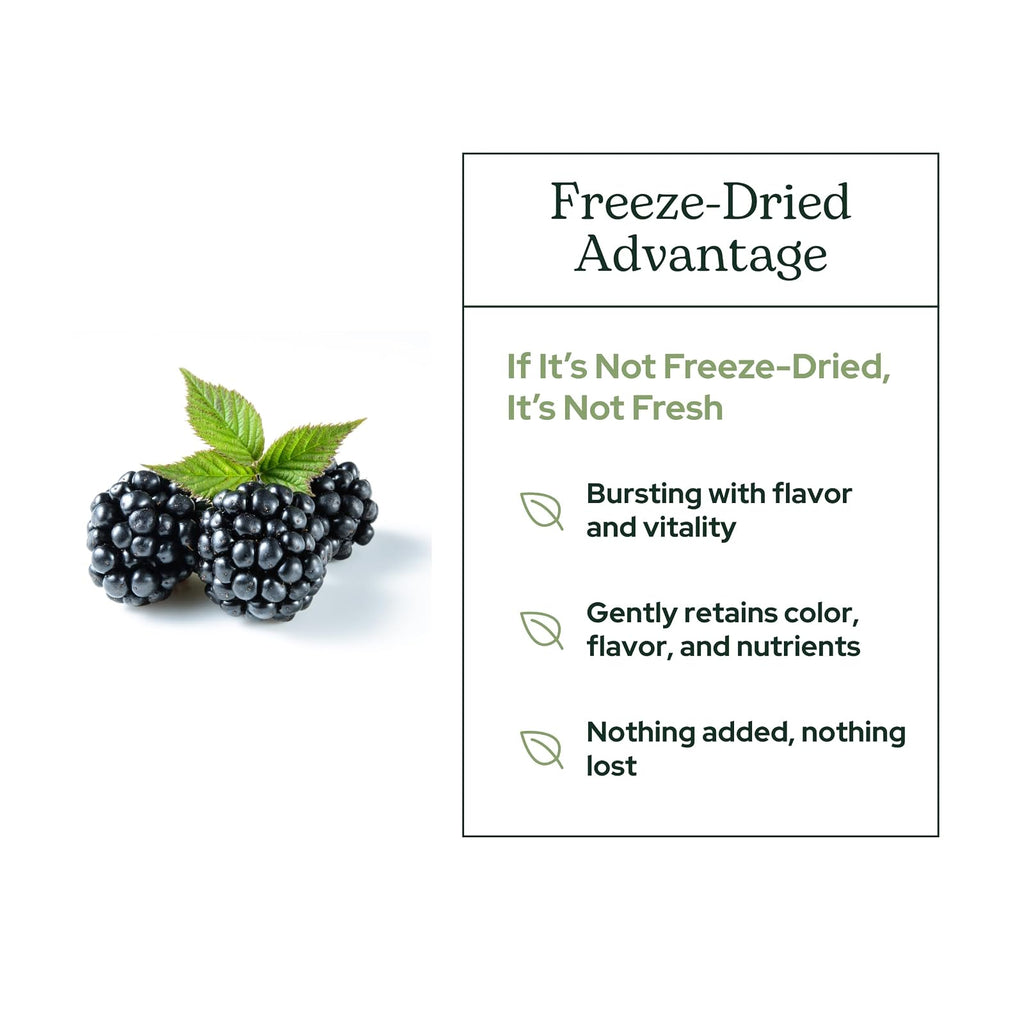 vegan-friendly blackberry powder supplement