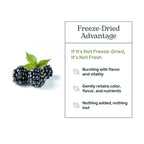 vegan-friendly blackberry powder supplement