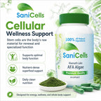 Vegan-friendly blue-green algae vitamins