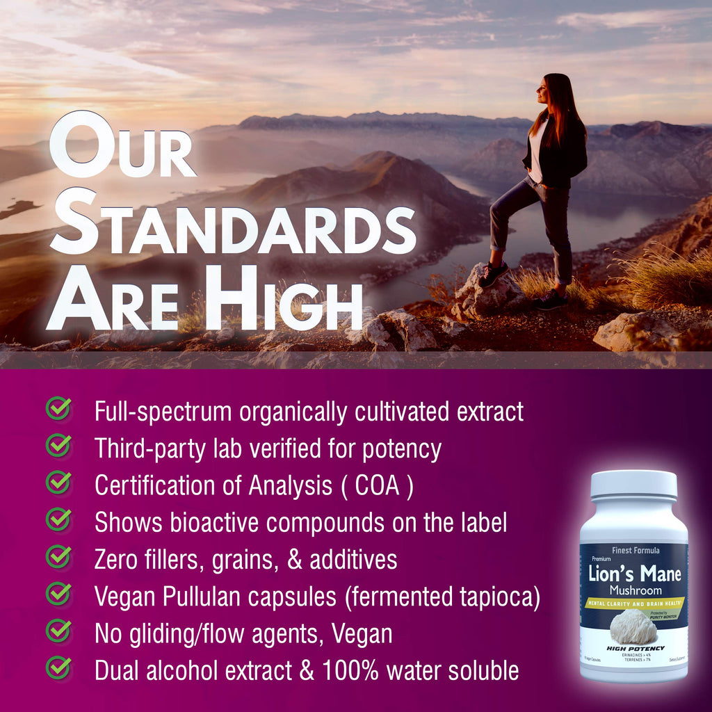 vegan-friendly brain health supplement