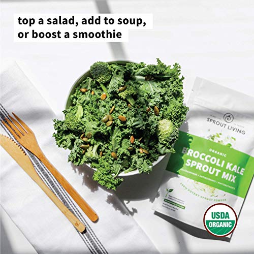 vegan-friendly broccoli kale blend