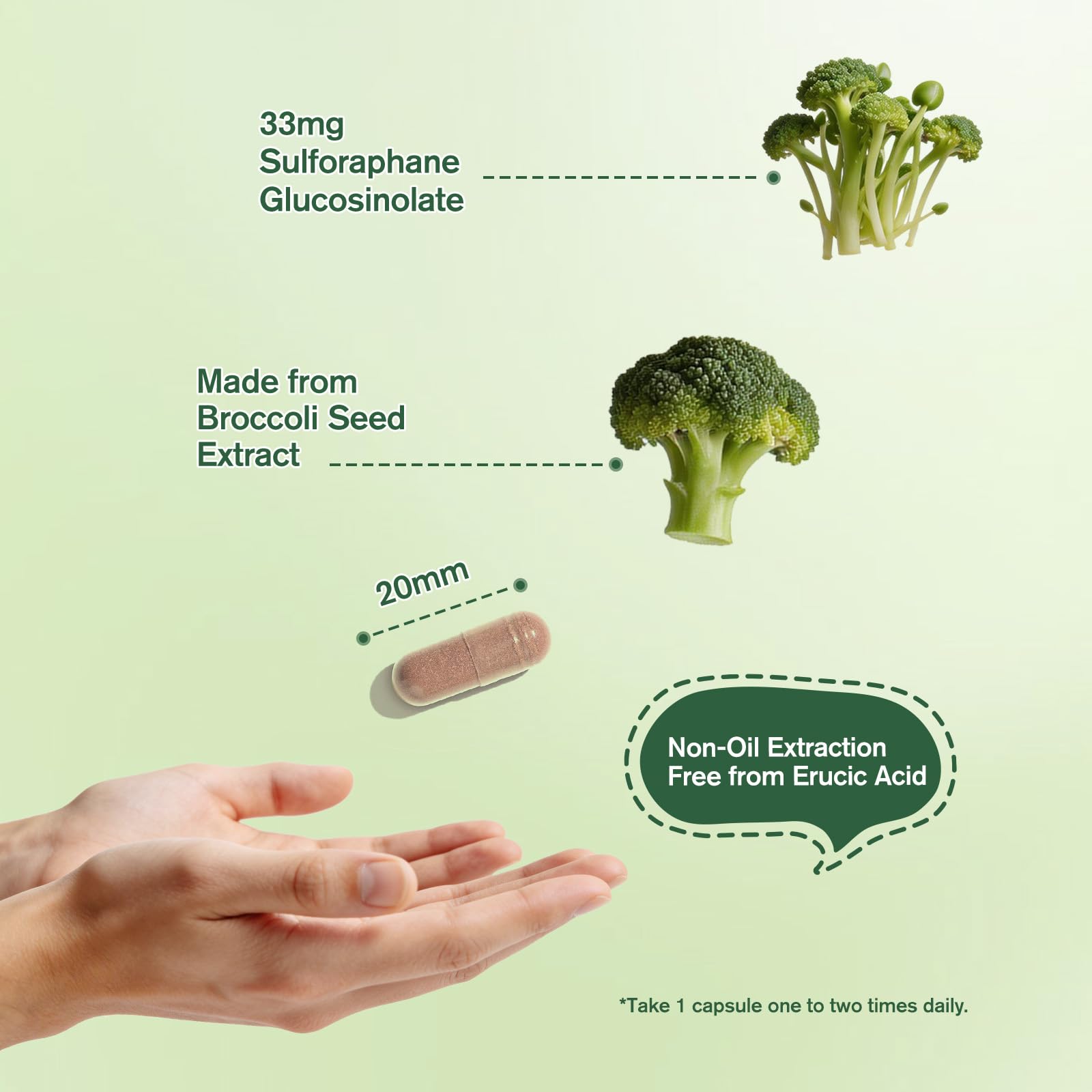 vegan-friendly broccoli supplement benefits