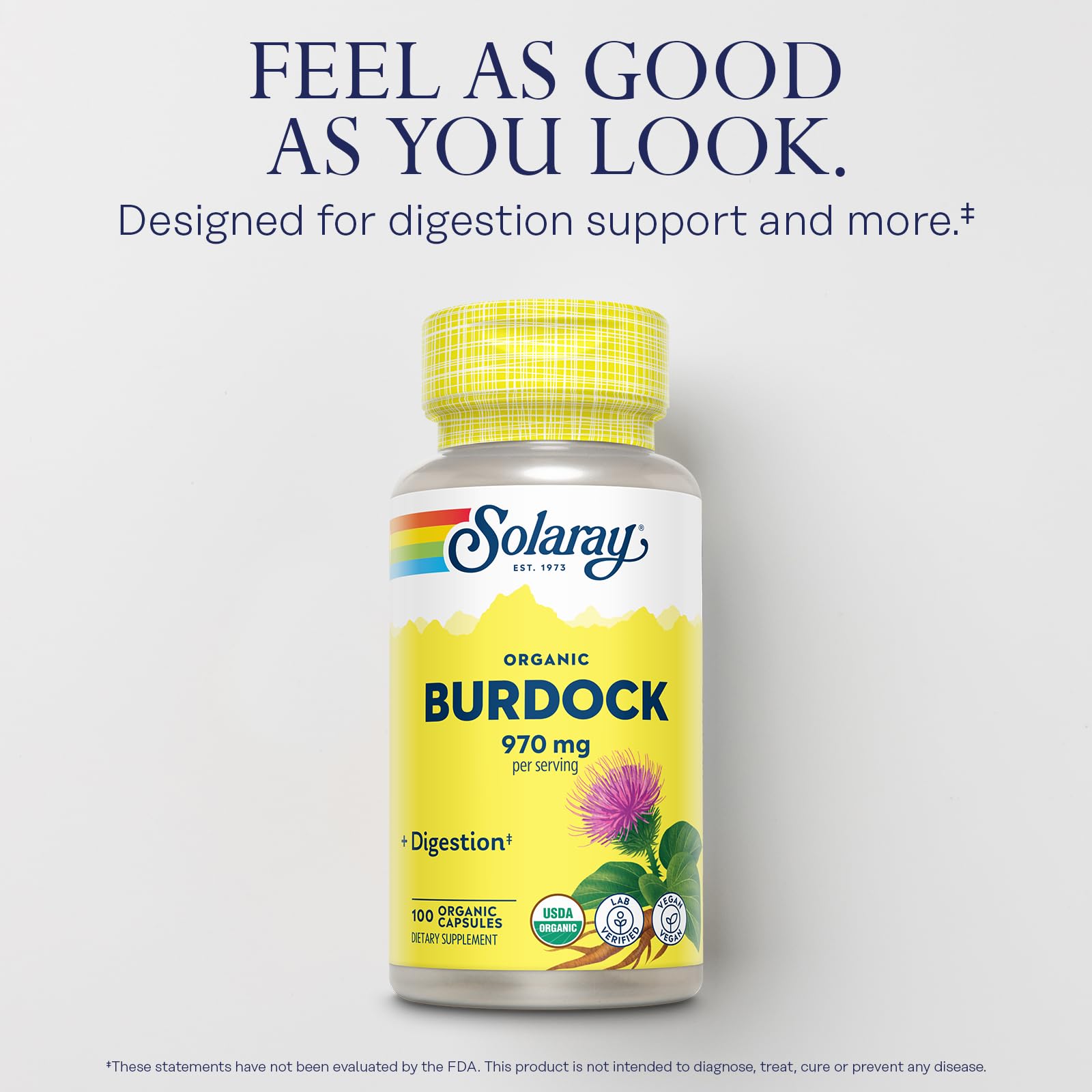 Vegan-friendly burdock root capsules for wellness