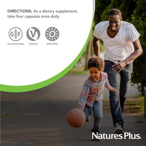vegan-friendly calcium supplement option