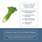 vegan-friendly celery juice vitamins