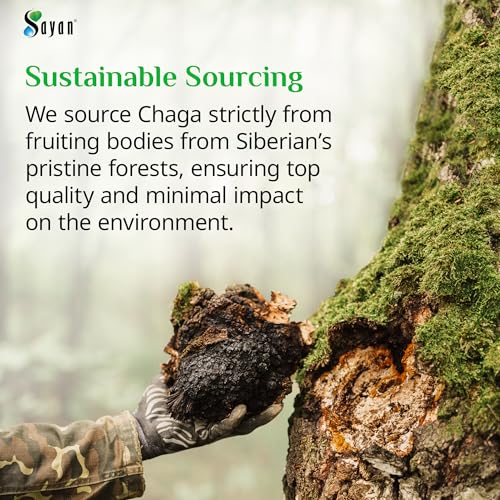 vegan-friendly Chaga mushroom capsules