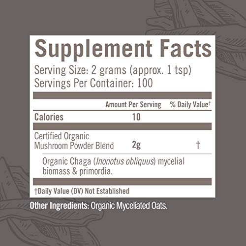 vegan-friendly chaga mushroom supplement
