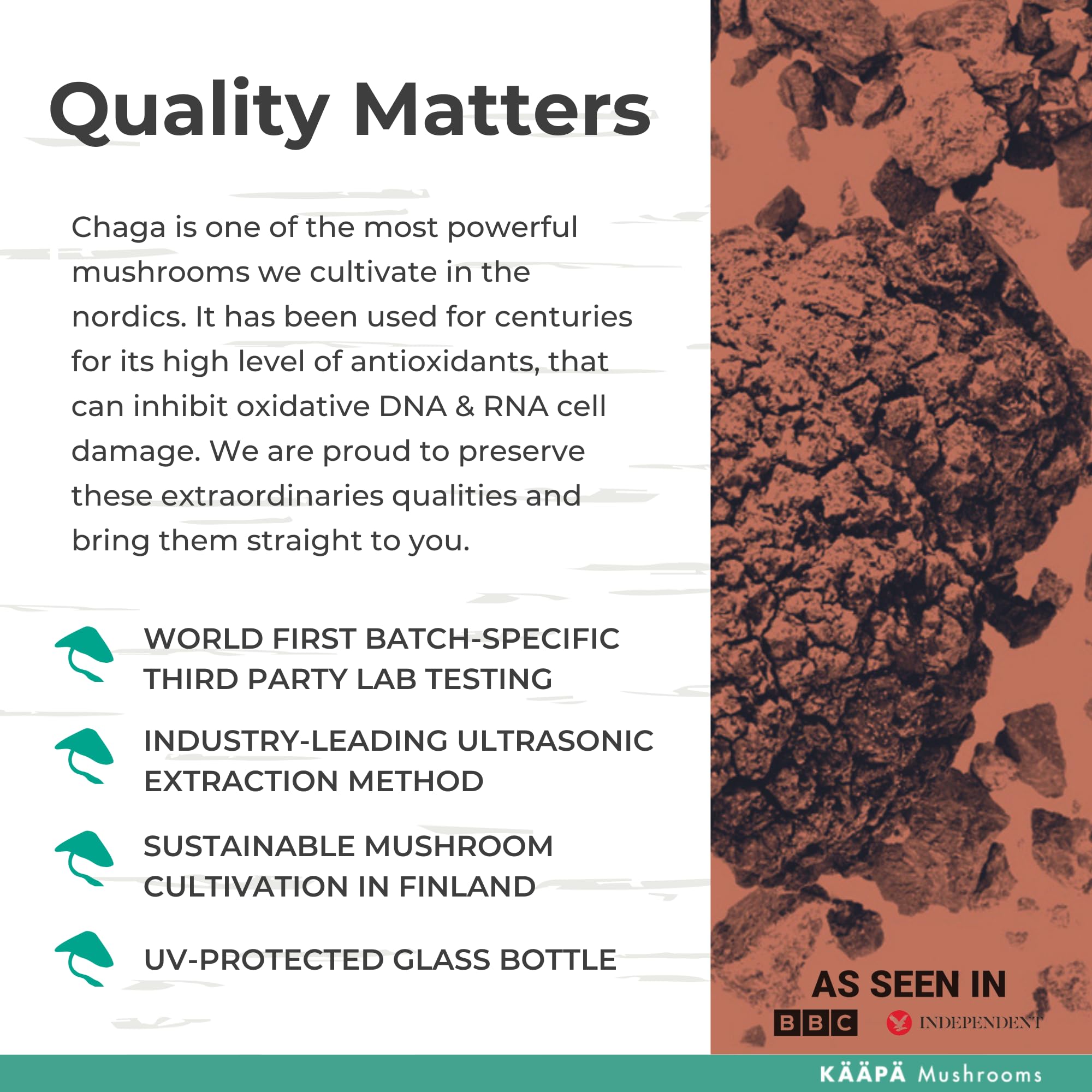 Vegan-friendly chaga mushroom supplement