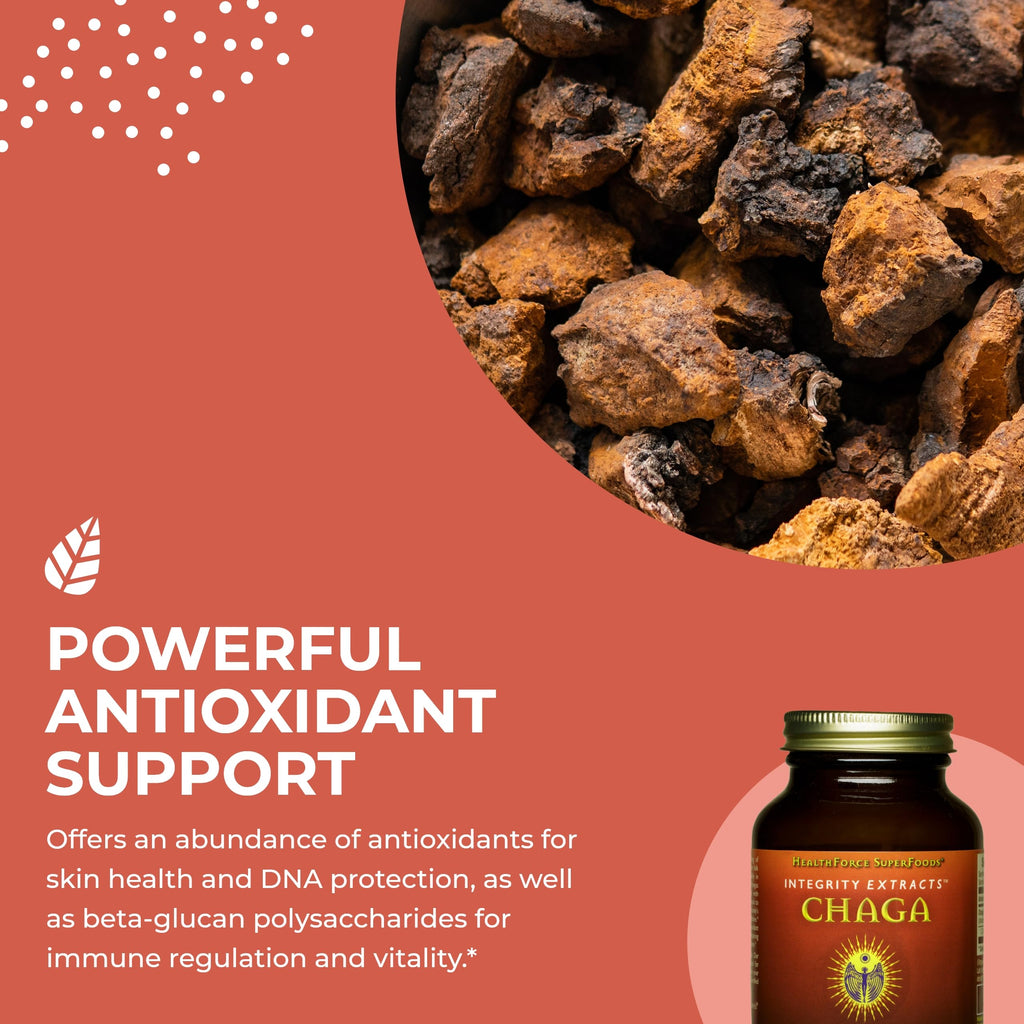 vegan-friendly chaga mushroom supplement