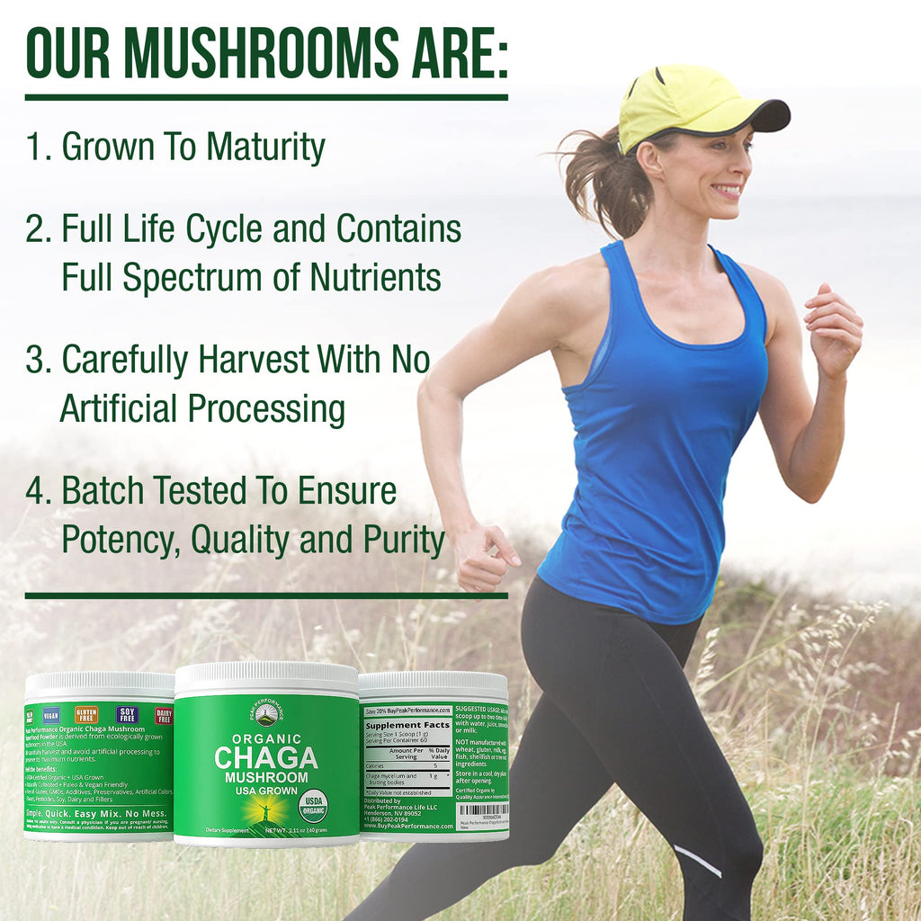 vegan-friendly chaga mushroom supplement