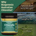 vegan-friendly chlorella supplement