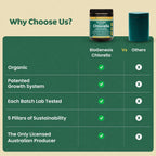 vegan-friendly chlorella supplement