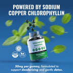 Vegan-friendly chlorophyll gummy vitamins