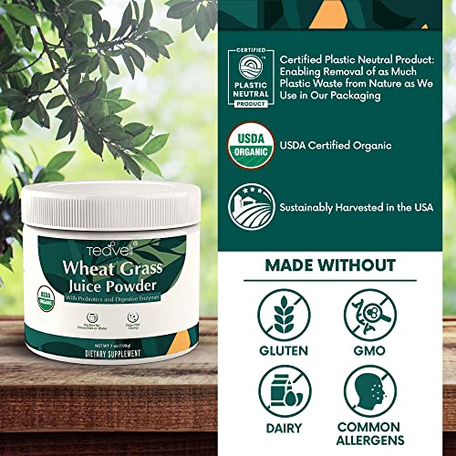vegan-friendly chlorophyll supplement