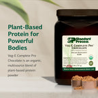 vegan-friendly chocolate protein