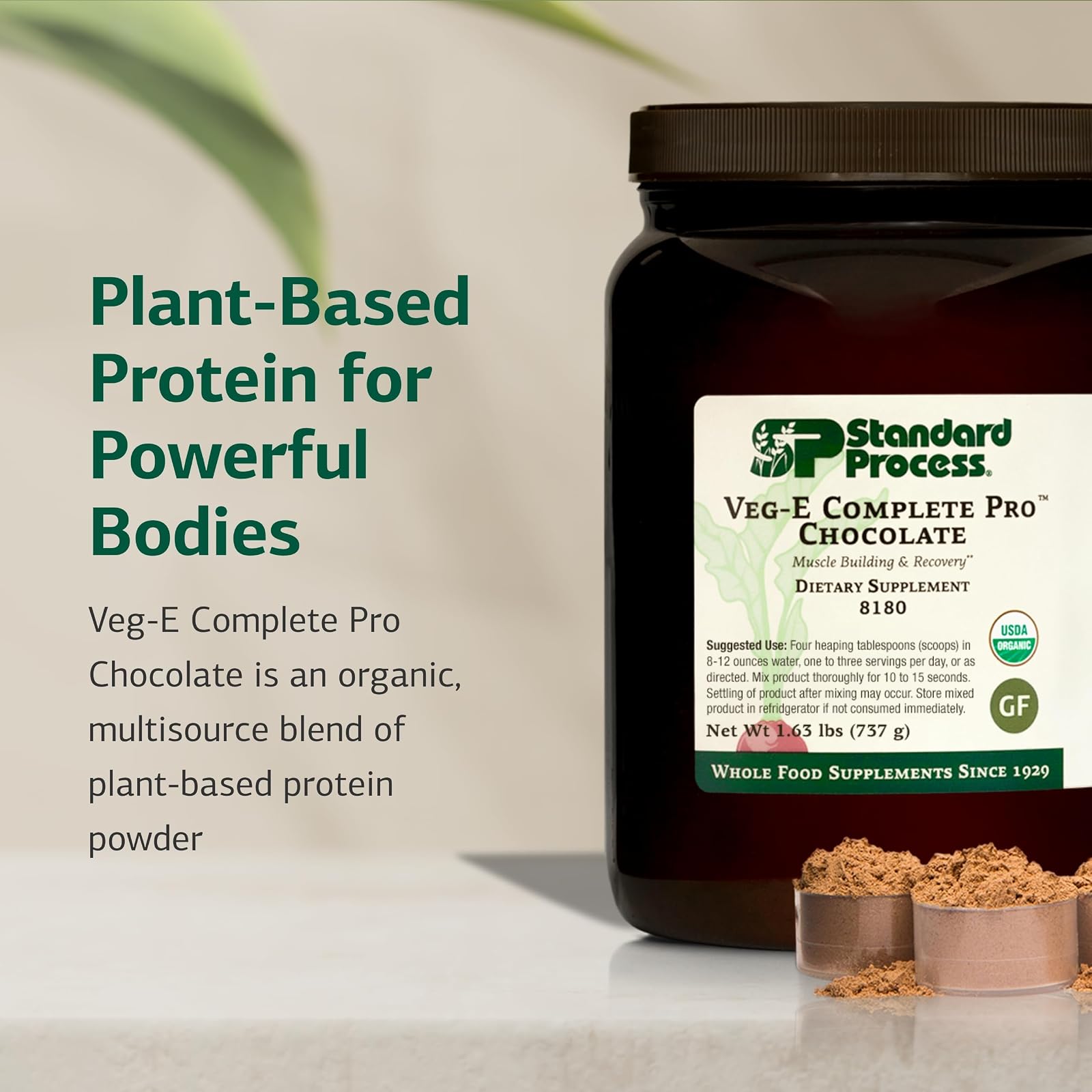 vegan-friendly chocolate protein