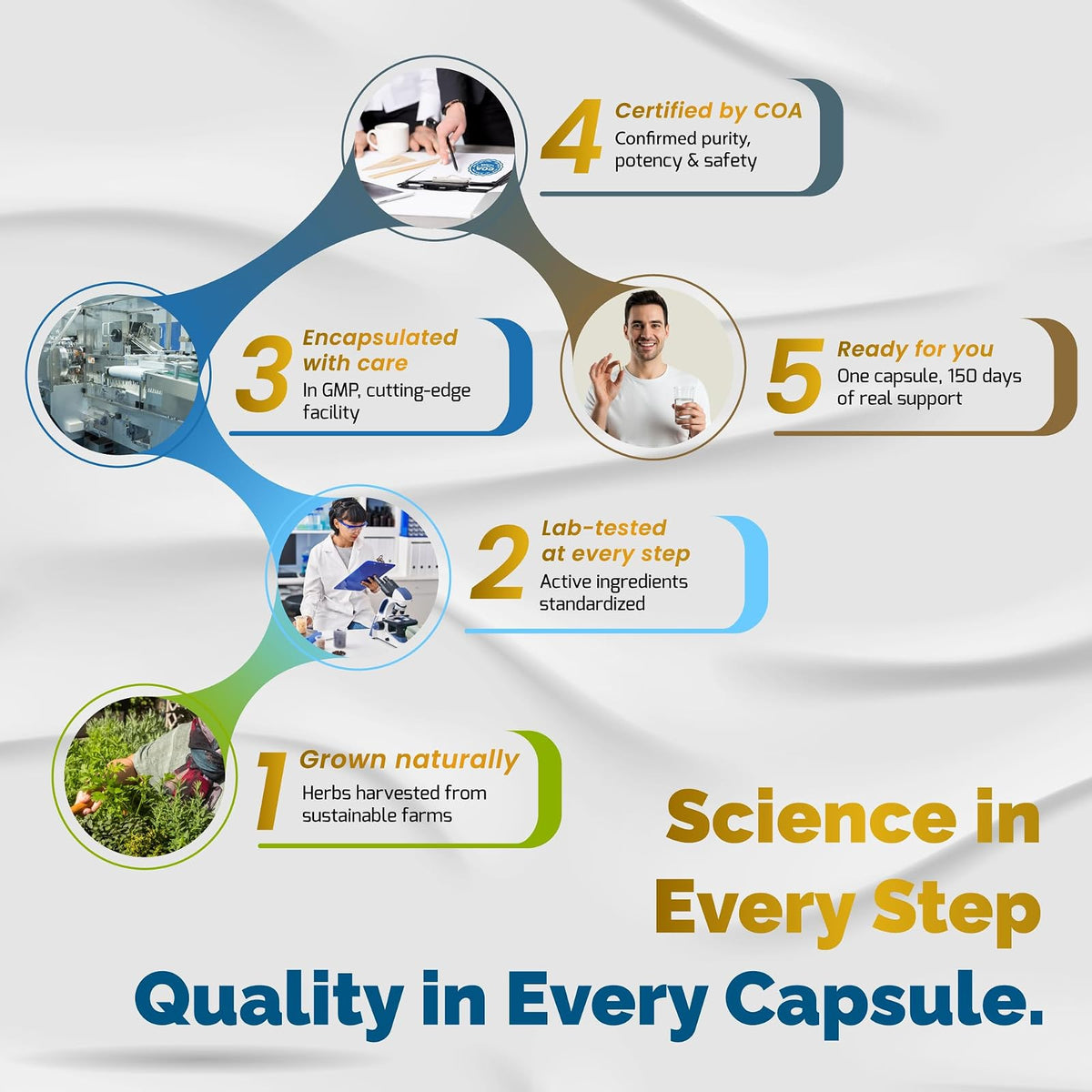 vegan-friendly choline source from Vegatot