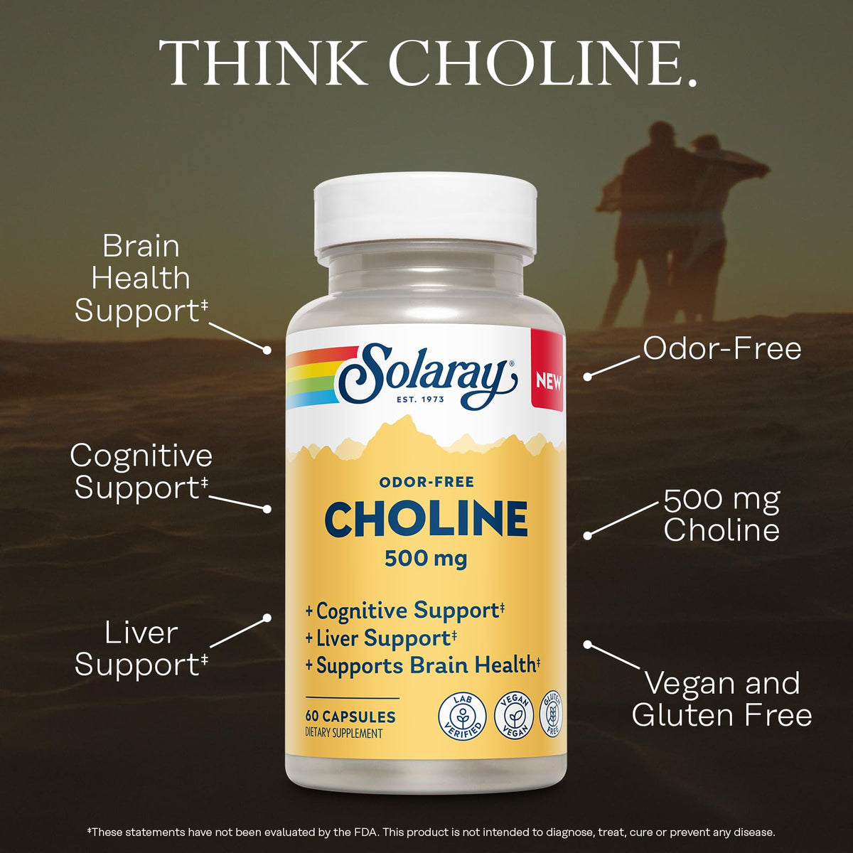 Vegan-friendly choline supplement