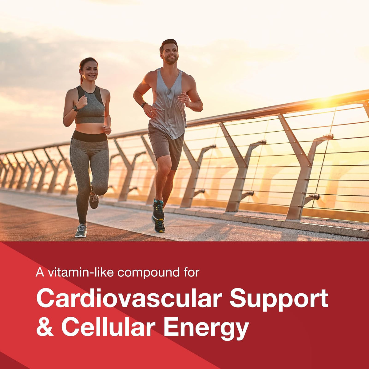 vegan-friendly CoQ10 supplement