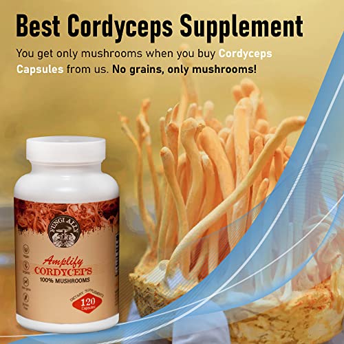 vegan-friendly cordyceps for healthy living