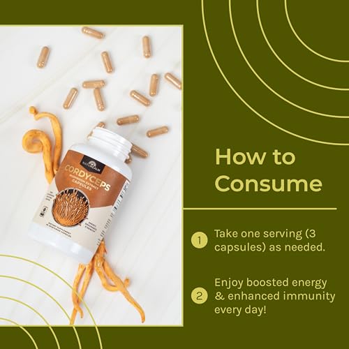 vegan-friendly cordyceps mushroom capsules