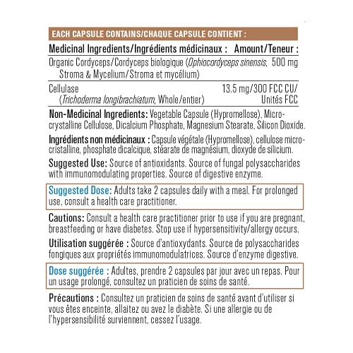 Vegan-friendly Cordyceps mushroom capsules
