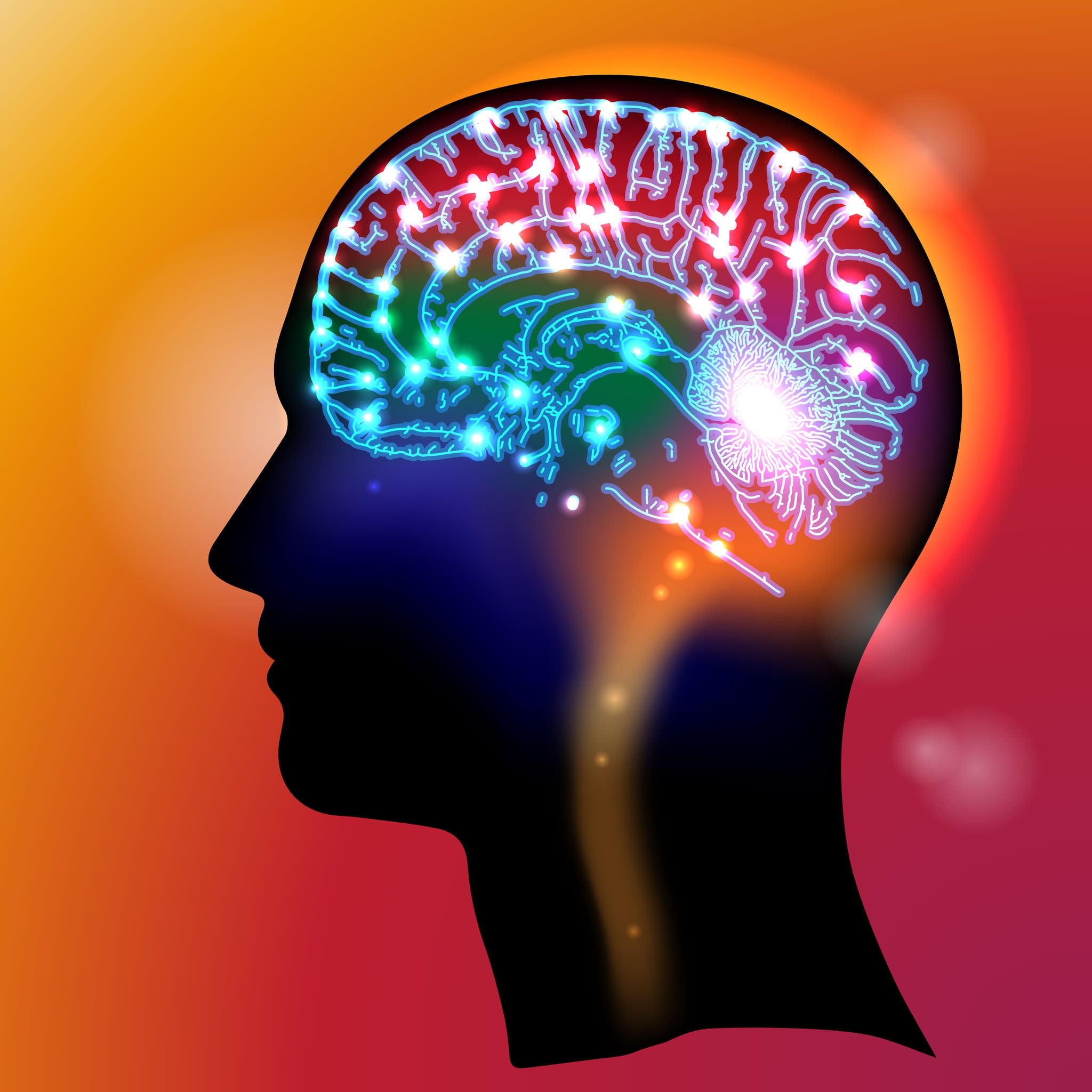 vegan-friendly cordyceps powder supplement
