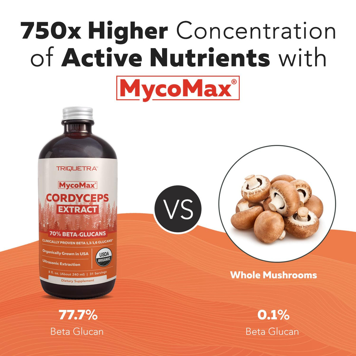 vegan-friendly cordyceps supplement