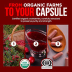 vegan-friendly cranberry supplement for wellness