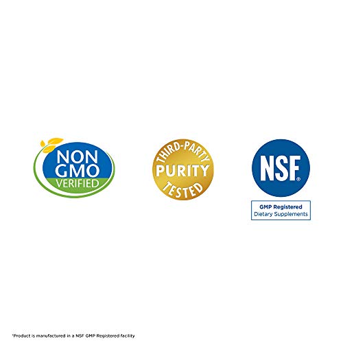 vegan-friendly curcumin supplement option
