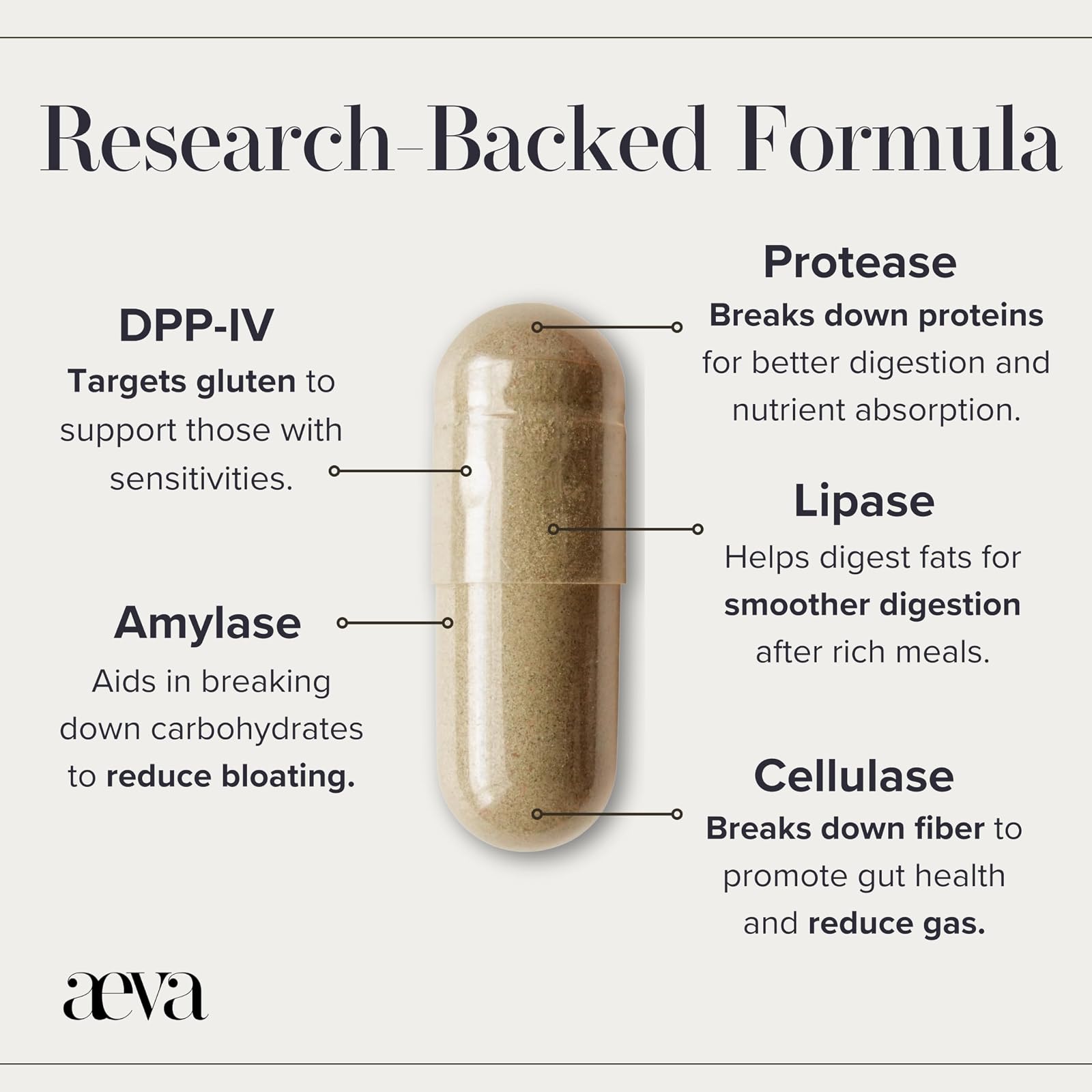 vegan-friendly digestive enzymes supplement